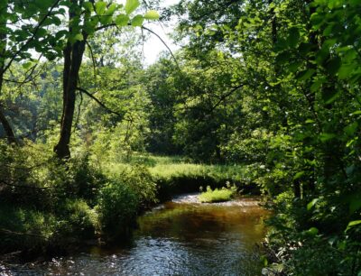 Bayerische Naturschutzwacht auch im Windachtal – Ortsverband VG Windach